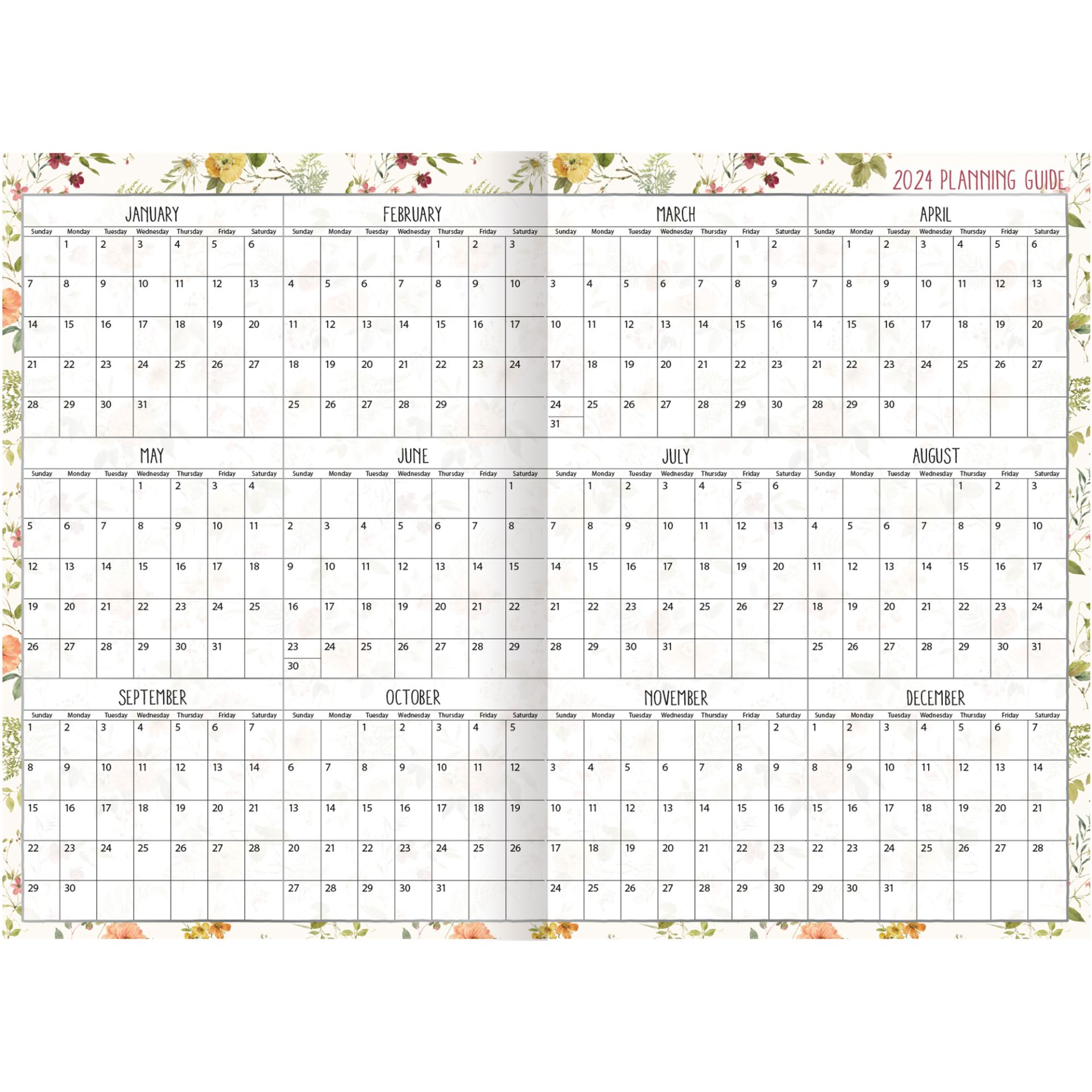 Lang 13 Month Pocket Planner 2024 Watercolor | Nextra Dianella